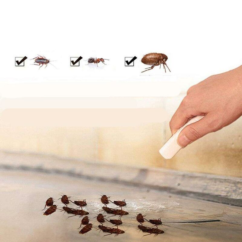 Odorless Insecticide Chalk For Bugs Fleas Roaches Ants Lice 10 Packs ...
