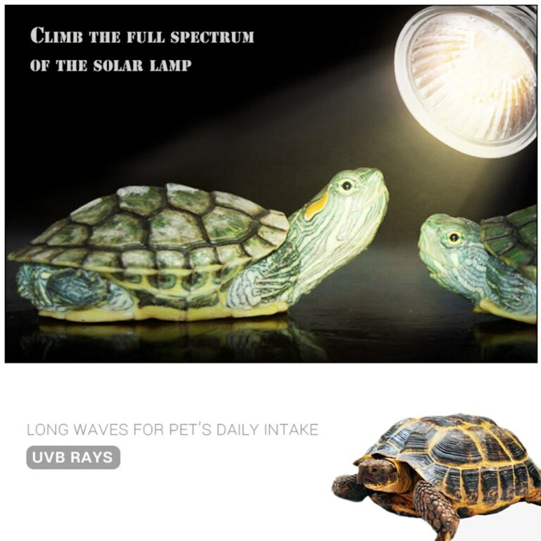 25w Reptile Uvbuva Heating Lamp Bulb For Turtles Amphibians Lizards ...