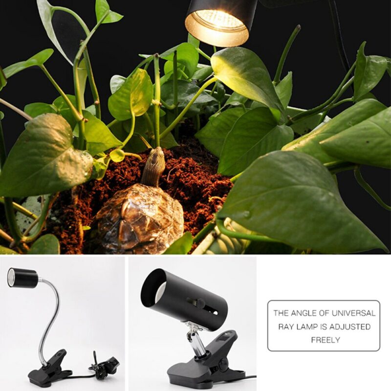 25w Reptile Uvbuva Heating Lamp Bulb For Turtles Amphibians Lizards ...