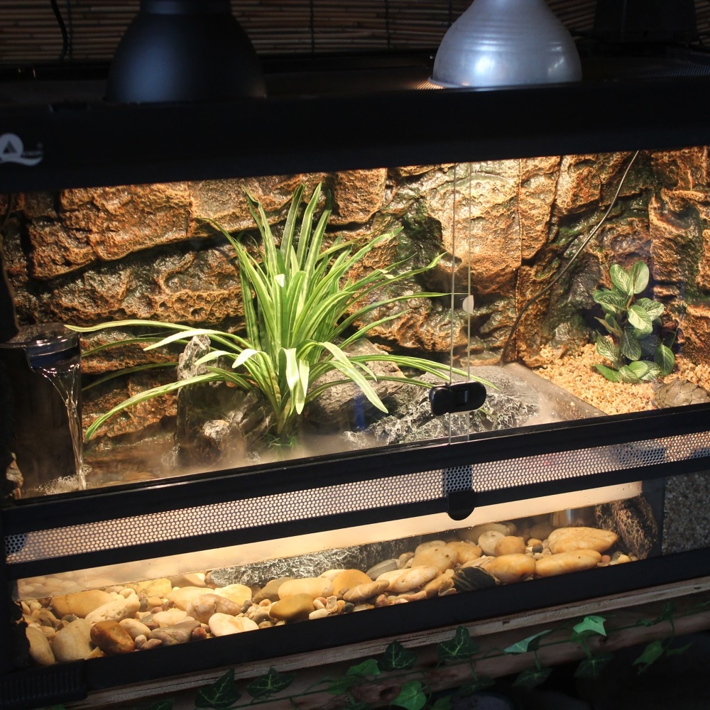Rainforest Vivarium Turtle Tank Kit For Salamanders Tree Frogs Includes ...