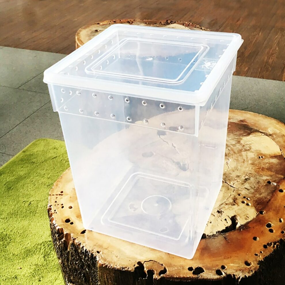Transparent Reptile Terrarium For Chameleons Tree Frogs Spiders And ...