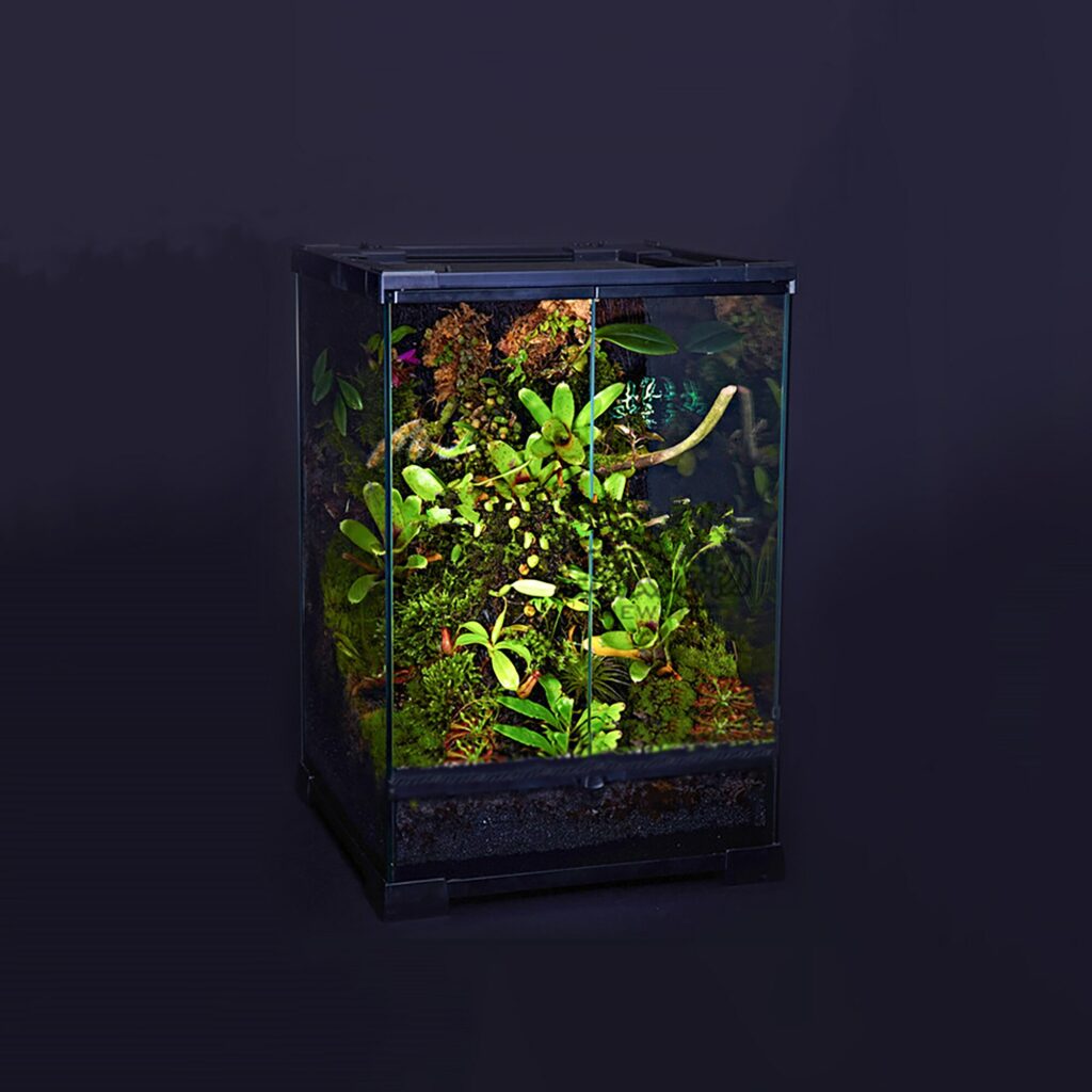 Reptile Terrarium Tank For Snakes Turtles And Lizards - Free Shipping ...