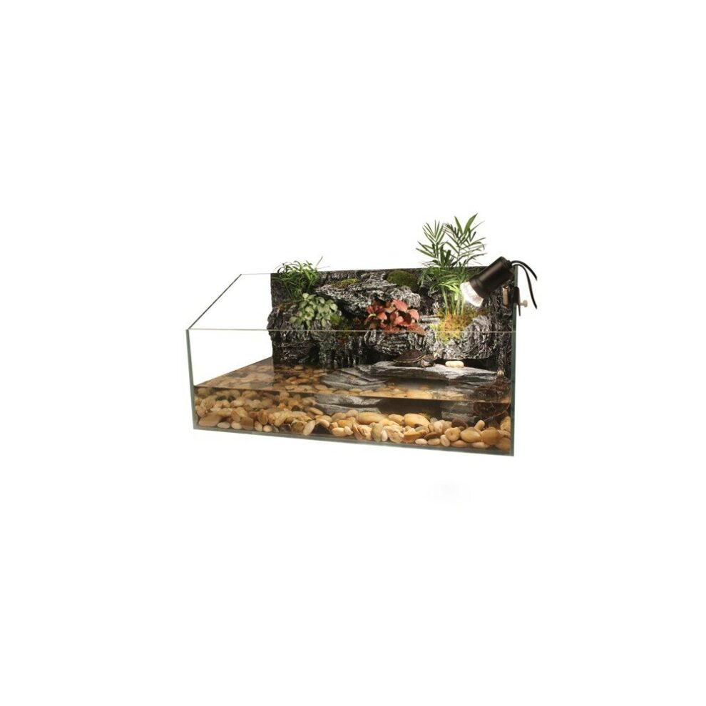 Rainforest Aquatic Turtle Aquarium Kit With Waterfall Basking Platform ...