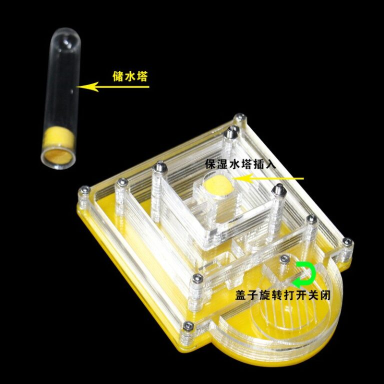 Acrylic Pyramid Ant Farm Nest With Moisture Area Educational Science ...