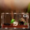 Acrylic Reptile Terrarium Kit With Artificial Plant Water Bowl - Free ...