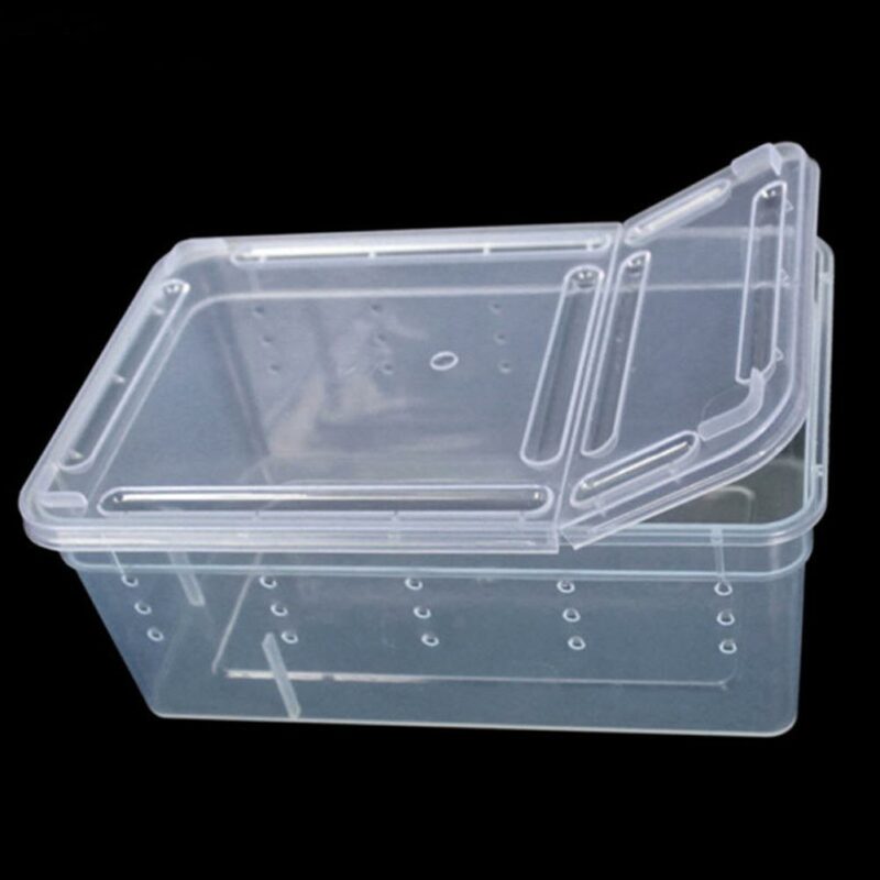 Clear Acrylic Reptile Terrarium Portable Feeding Habitat Box - Free ...