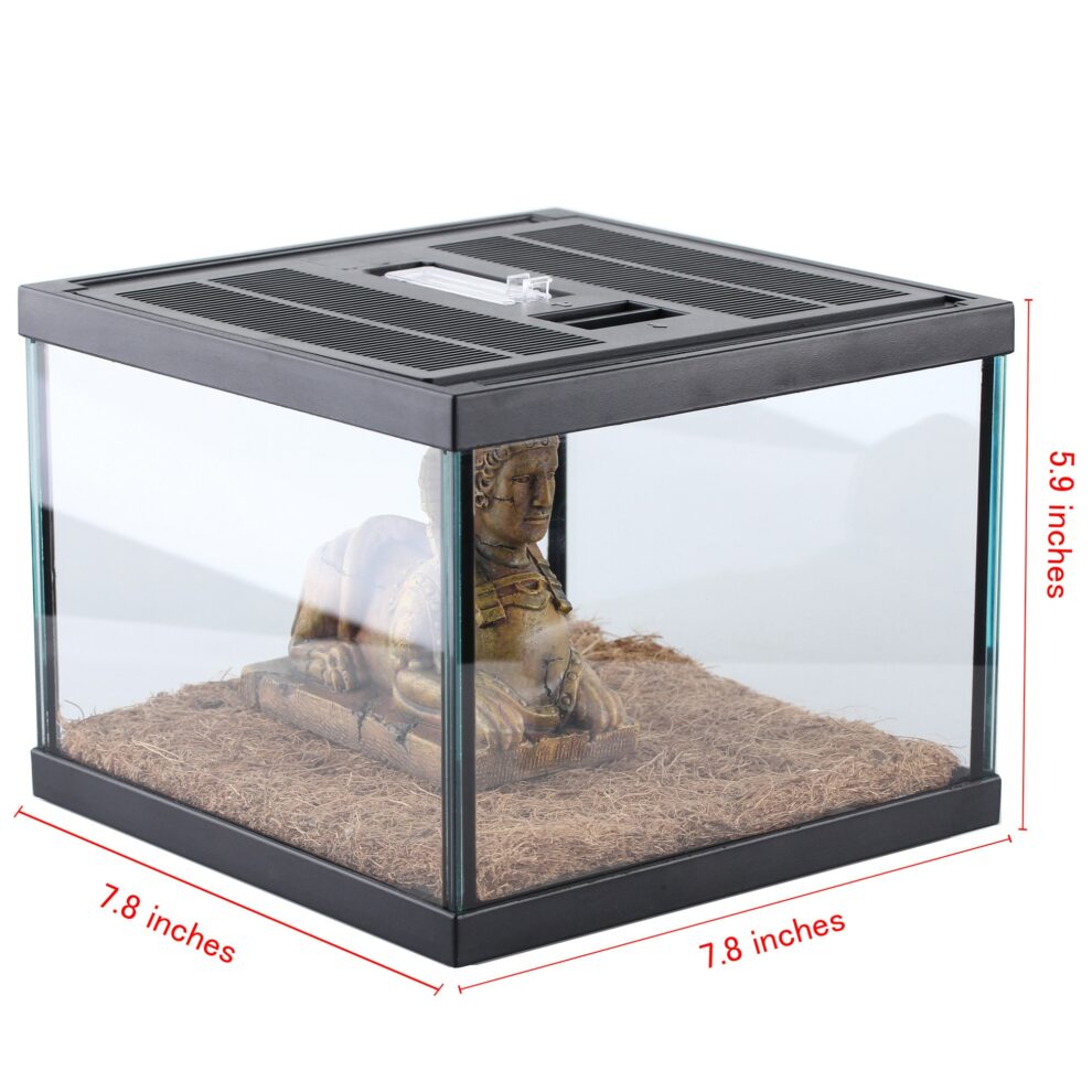Crystal Glass Reptile Cage Sphinx Desert Style Ideal For Lizards ...