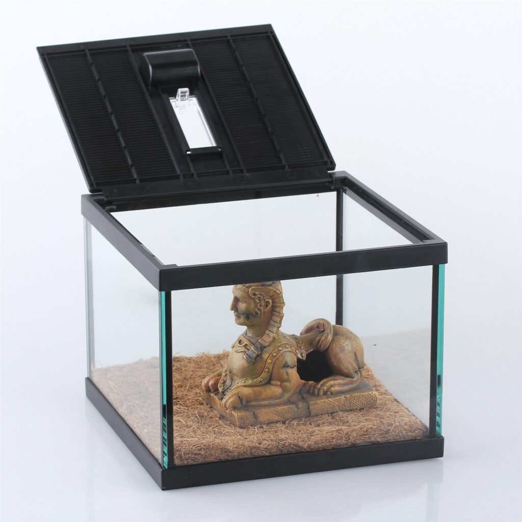 Crystal Glass Reptile Cage Sphinx Desert Style Ideal For Lizards ...