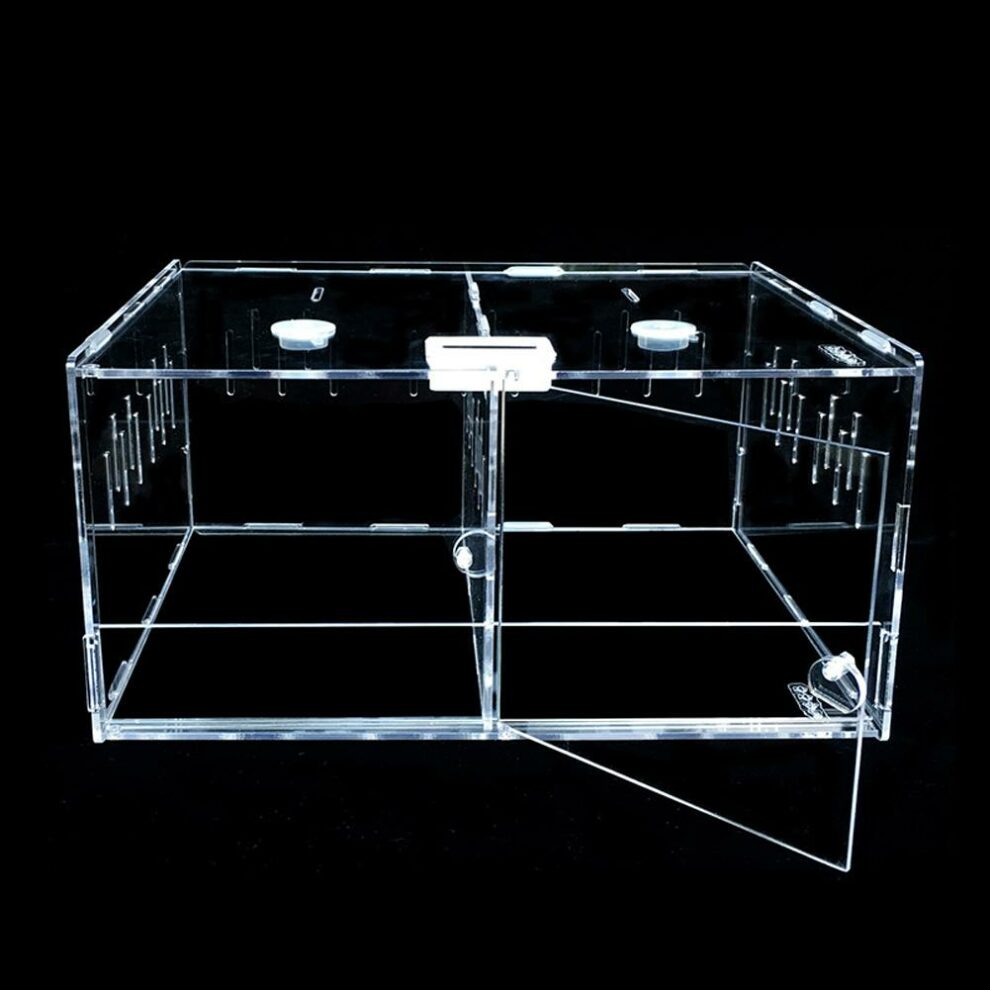 Acrylic Reptile Feeding Box Transparent Scorpion Hatching Multicrawl ...