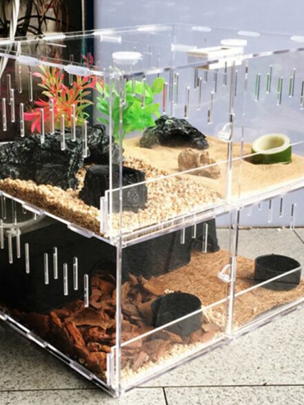 Acrylic Reptile Feeding Box Transparent Scorpion Hatching Multicrawl ...