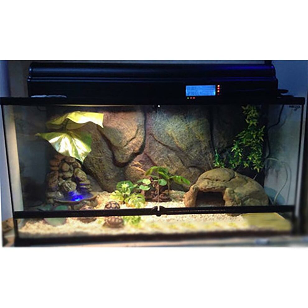 Reptile Terrarium Tank For Lizard Snake Turtle Chameleon Breeding ...