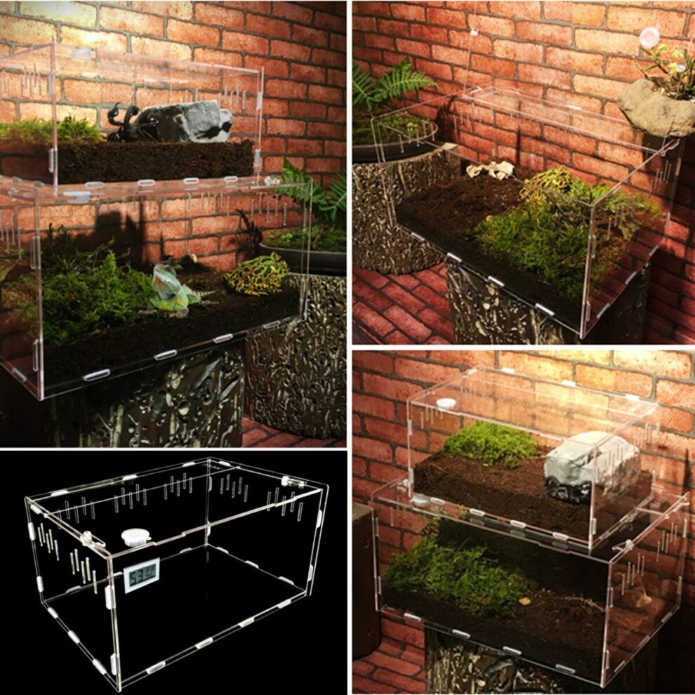 Acrylic Reptile Terrarium For Breeding Lizards Spiders Tortoise Sl Size ...