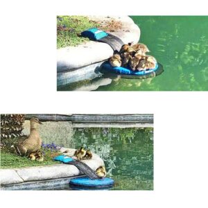 Animal Rescue Pool Ramp Suitable For Ducks Turtles Squirrels Frogs ...