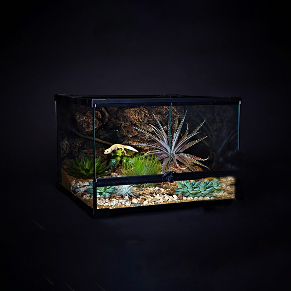 Reptile Terrarium Rainforest Tank For Lizard Snake Turtle Chameleon ...