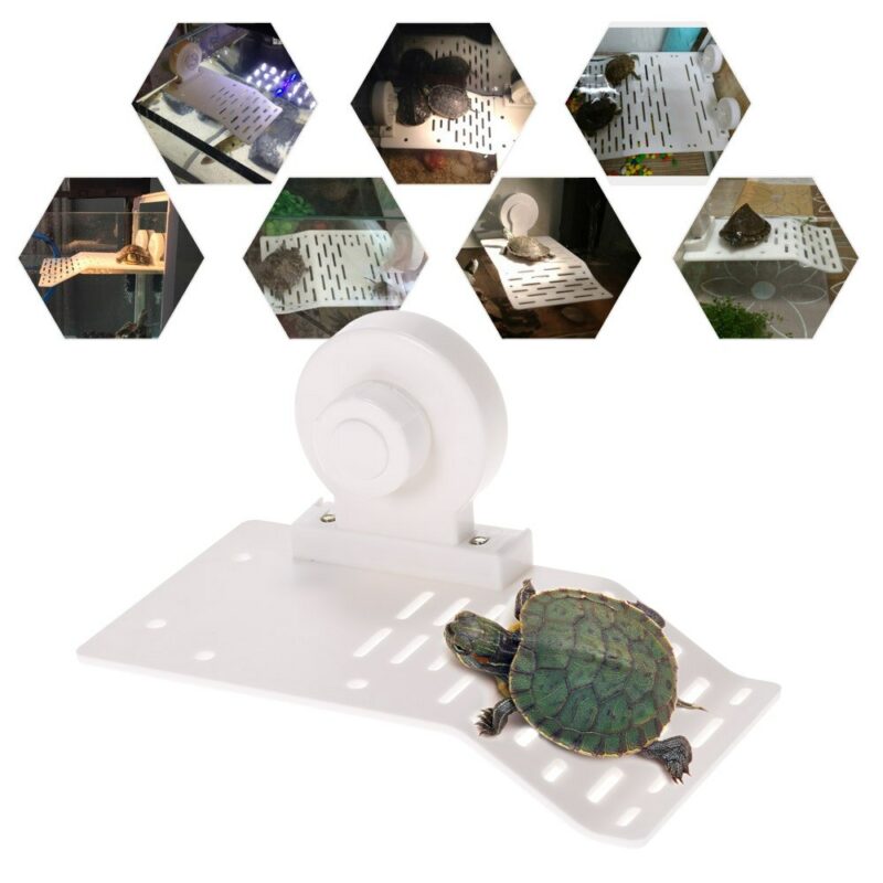 Floating Turtle Basking Platform Amphibian Dock Island Aquarium Tank ...