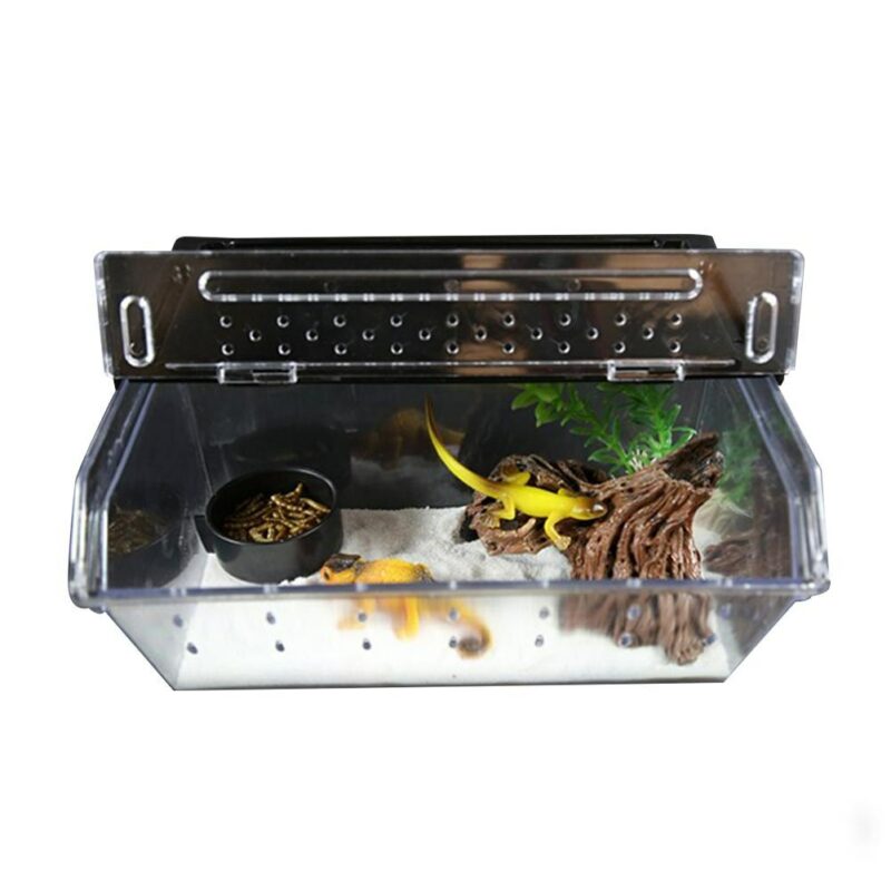 Reptile Insect Breeding Box Gecko Spider Lizard Centipede Scorpion ...
