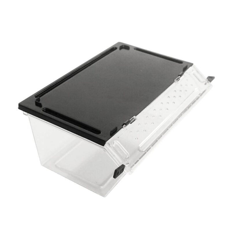 Reptile Insect Breeding Box Gecko Spider Lizard Centipede Scorpion ...