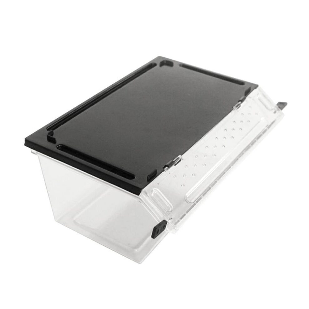 Reptile Insect Breeding Box Gecko Spider Lizard Centipede Scorpion ...
