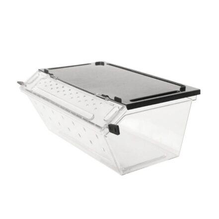 Reptile Insect Breeding Box Gecko Spider Lizard Centipede Scorpion ...