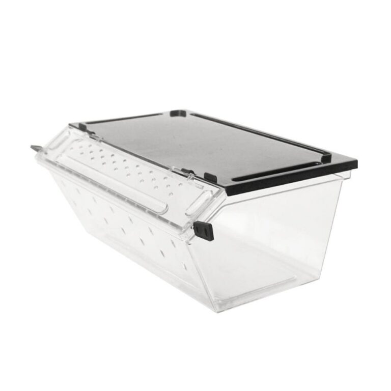 Reptile Insect Breeding Box Gecko Spider Lizard Centipede Scorpion ...
