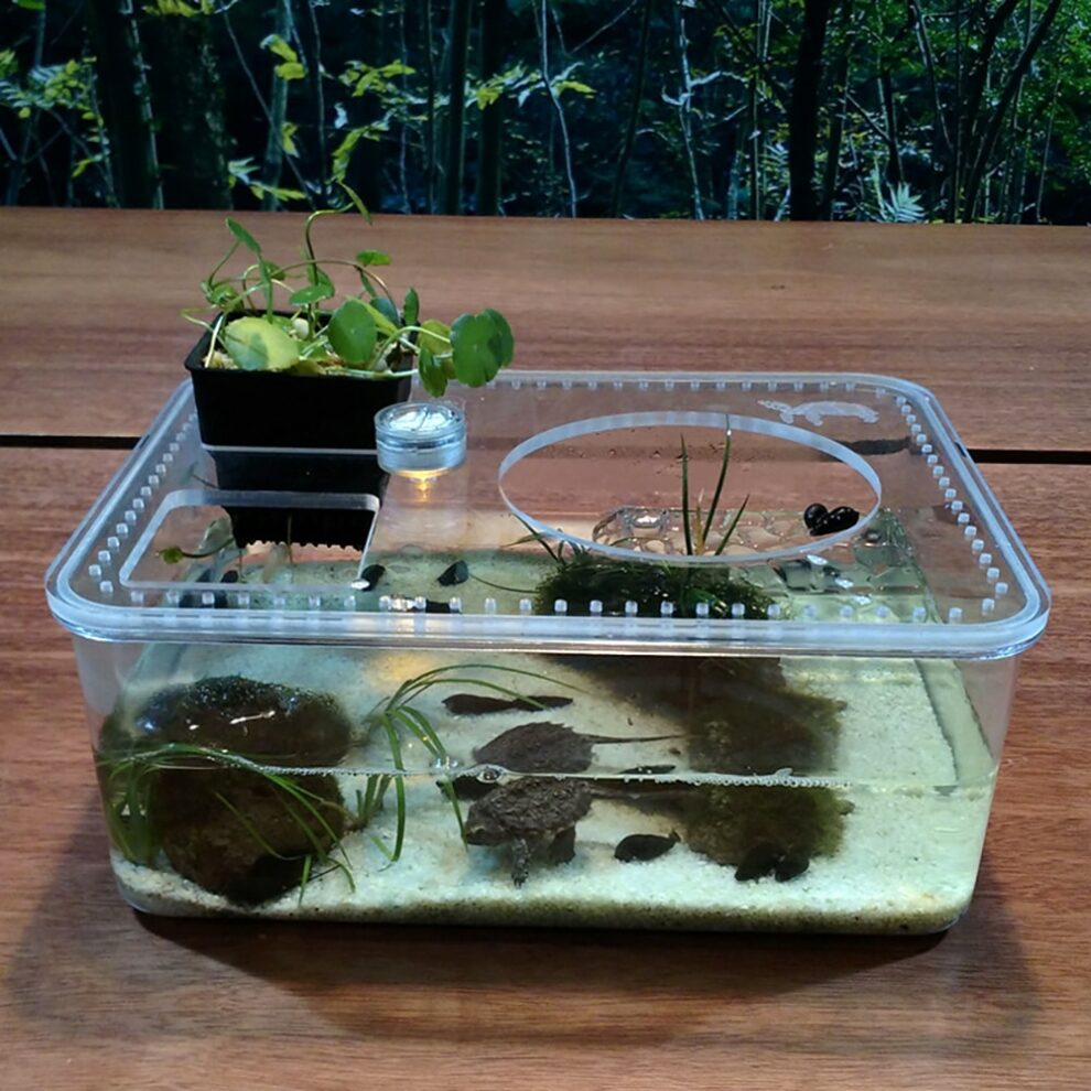 Small Desktop Turtle Tank Landwater Basin For Aquarium Landscaping ...