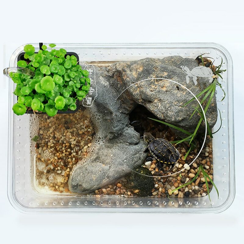 Small Desktop Turtle Tank Landwater Basin For Aquarium Landscaping ...
