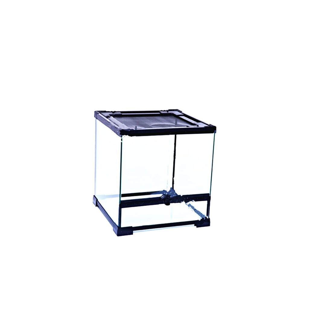 Large Glass Terrarium For Reptile Breeding Lizard Snake Turtle ...