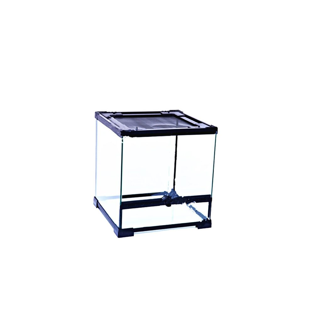 Large Glass Terrarium For Reptile Breeding Lizard Snake Turtle ...