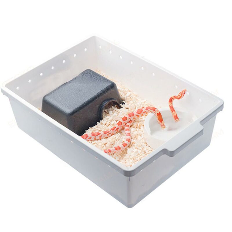 Drawerstyle Reptile Breeding Box For Snakes Assorted Colors - Free ...