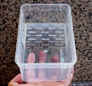 Small Antiescape Plastic Horned Frog And Insect Breeding Box - Free ...