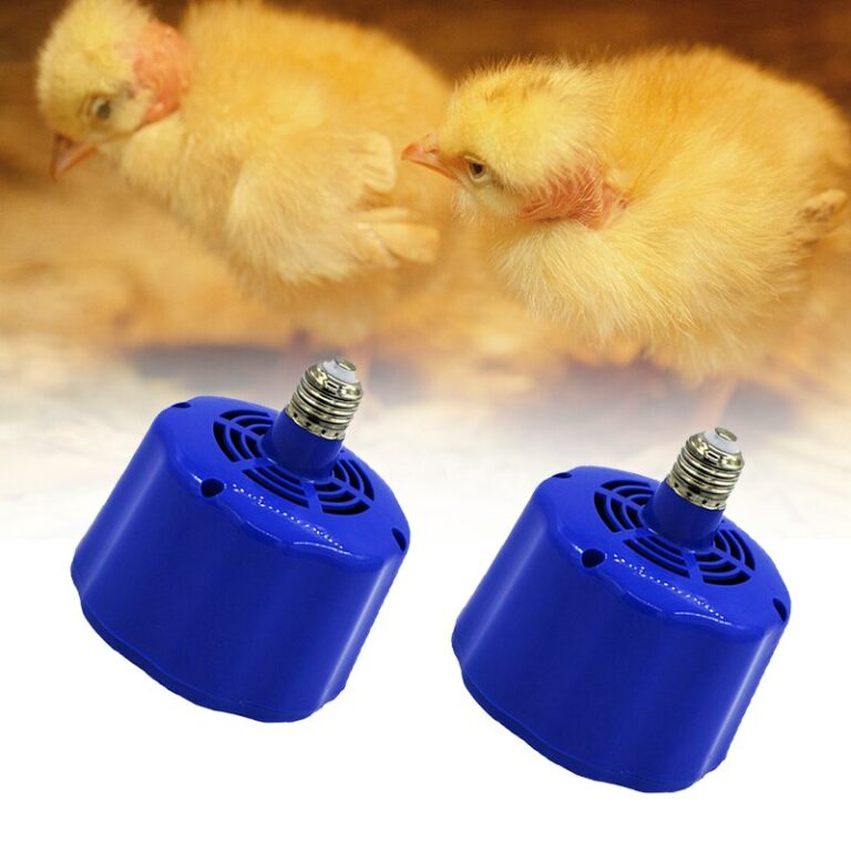 300w Livestock Heating Lamp Pet Warm Light Heater For Chickens - Free ...