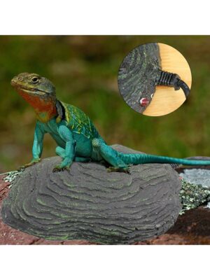 Repticare Resin Reptile Heating Rock With Insulation Cave Branch - Free ...