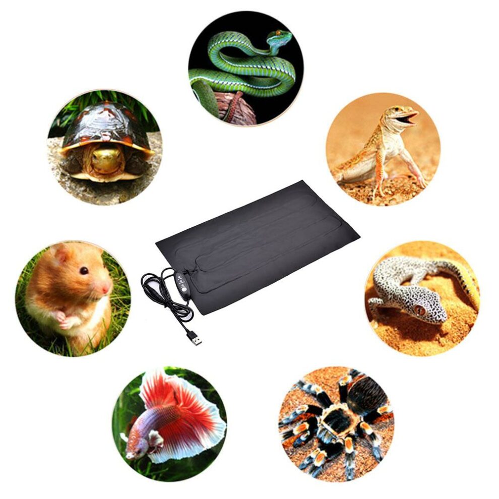 Reptile Heating Pad With Timer Temperature Control For Small Pets ...