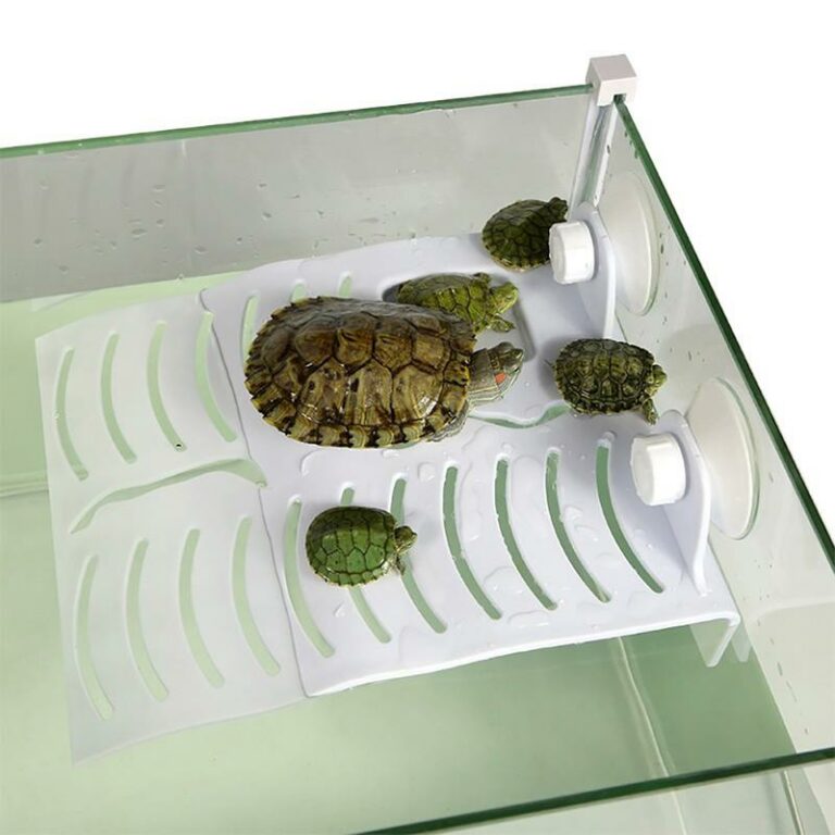 Large Turtle Basking Platform Floating Reptile Habitat Climbing ...