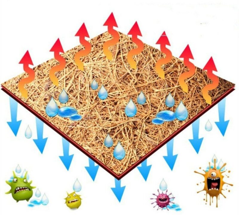 Natural Coconut Fiber Substrate Bricks For Reptile Terrariums - Free ...