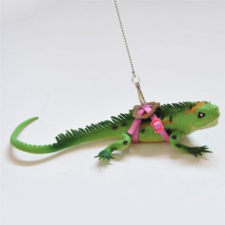 Adjustable Lizard Leash Harness Ideal For Geckos Bearded Dragons ...