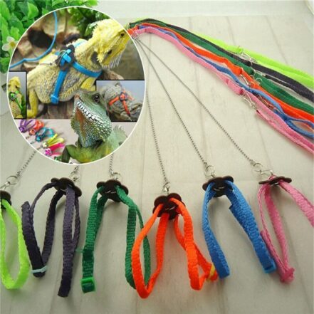 Adjustable Lizard Leash Harness Ideal For Geckos Bearded Dragons ...