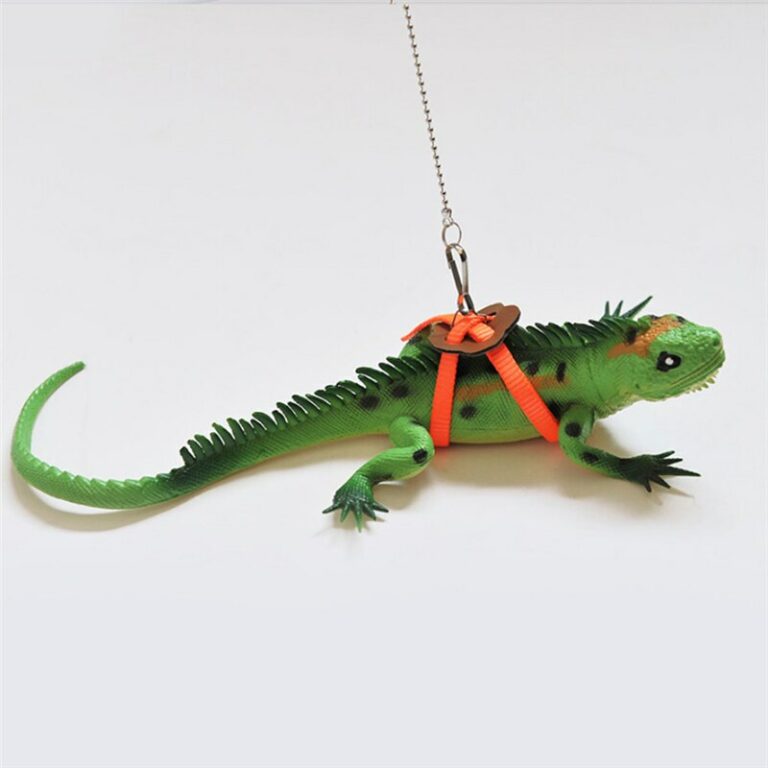 Adjustable Lizard Leash Harness Ideal For Geckos Bearded Dragons ...
