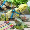 Adjustable Lizard Leash Harness Ideal For Geckos Bearded Dragons ...