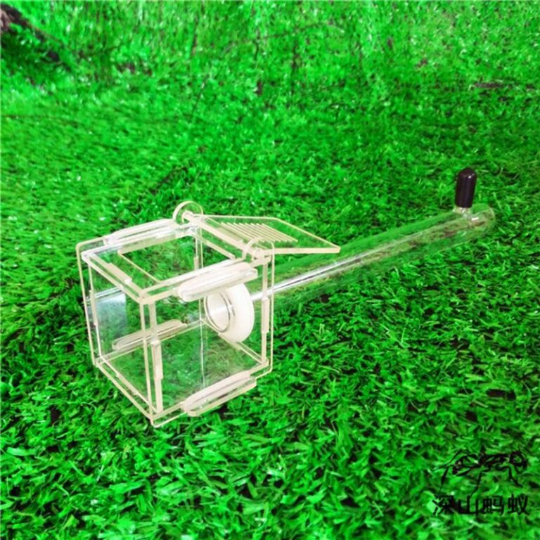 Mini Acrylic Ant Farm With Active Insect House And Glass Tube Nest ...