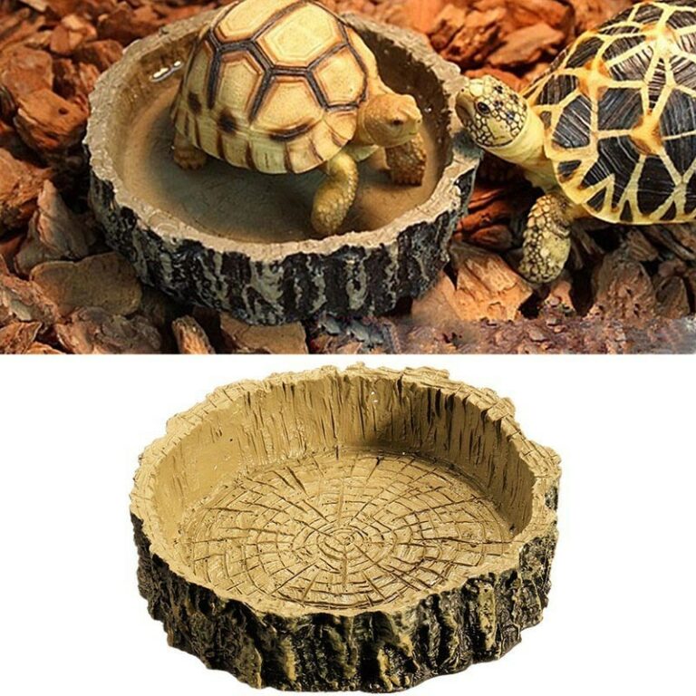 Reptile Food Water Bowls Simulation Resin Accessories For Tortoise ...