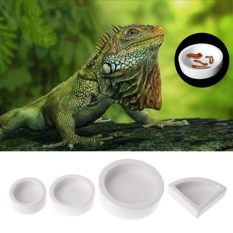 Ceramic Reptile Food Water Dish For Snakes Turtles Lizards - Free ...