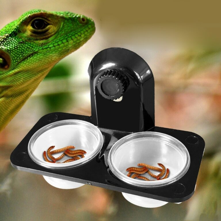 Reptile Feeder Bowl Lizard Turtle Scorpion Crab Food Water Basin - Free ...