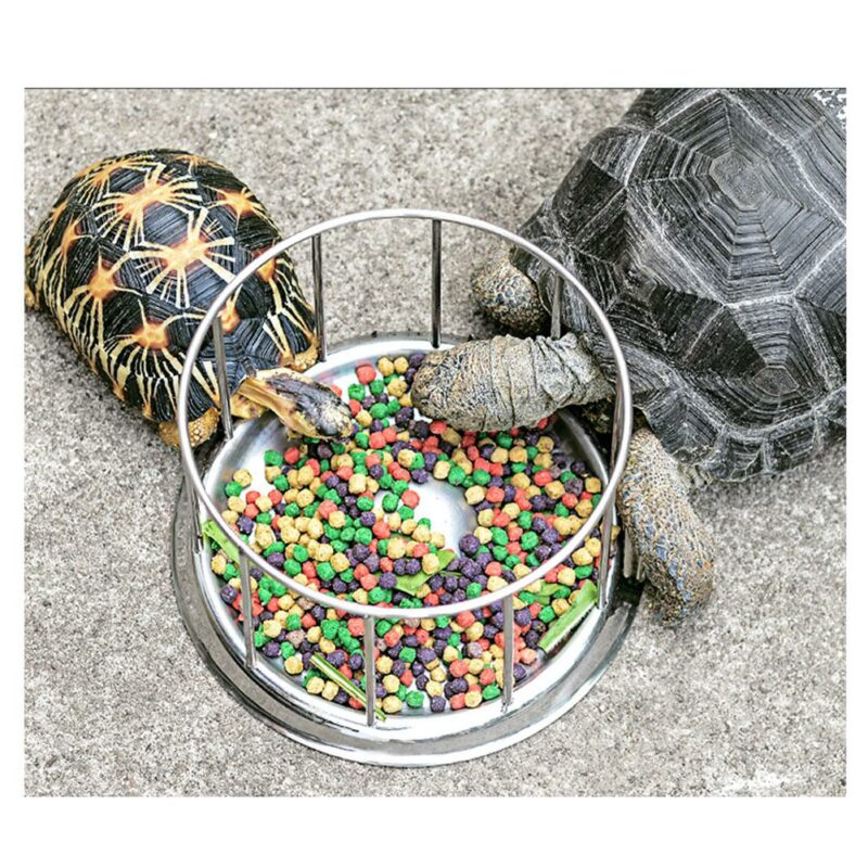 Stainless Steel Tortoise Food Water Bowl Pet Turtle Feeding Tray ...