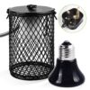 Infrared Ceramic Pet Heating Lamp With Safety Cage For Reptiles ...