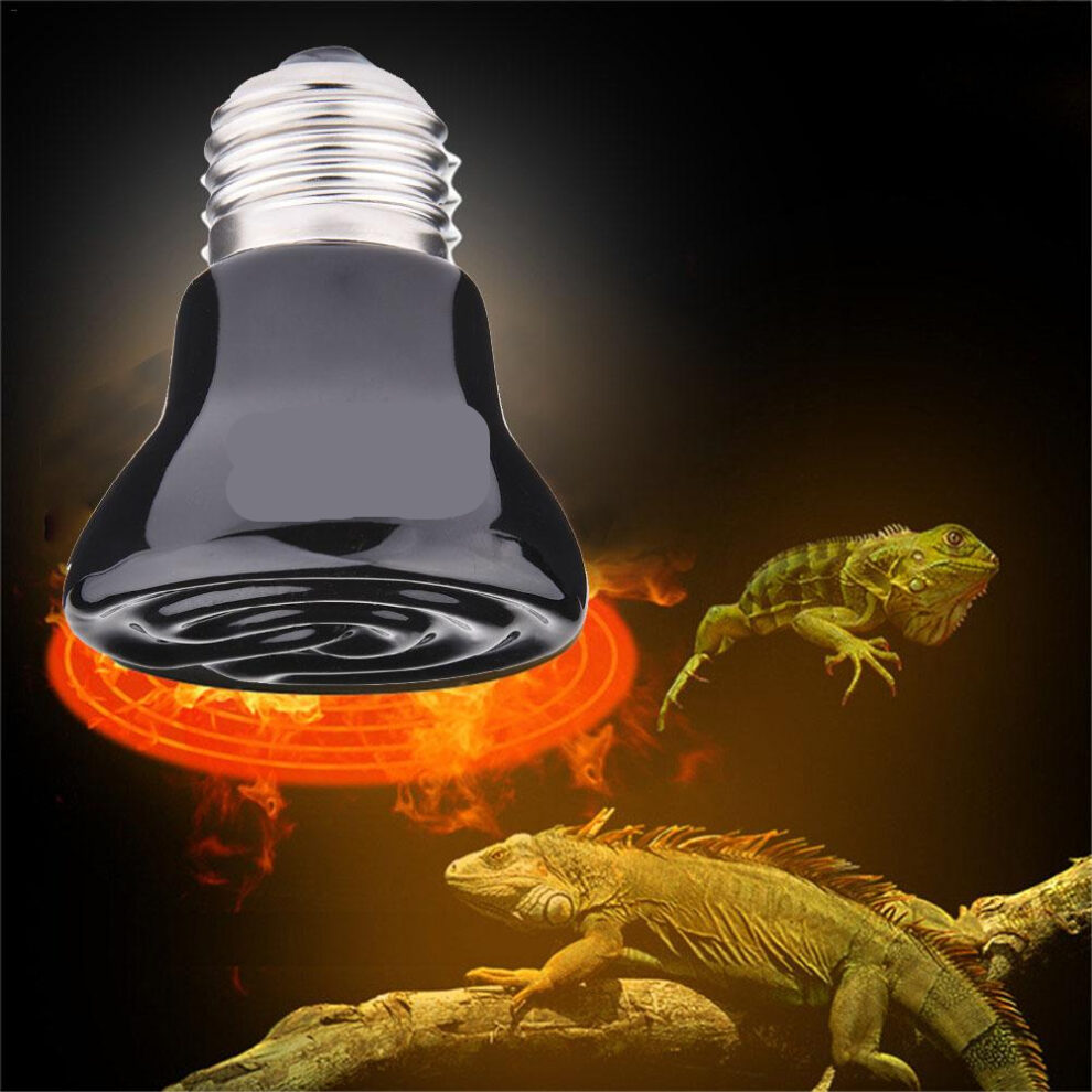 Ceramic Pet Heating Lamp Set With Safety Cage For Reptiles Chickens ...