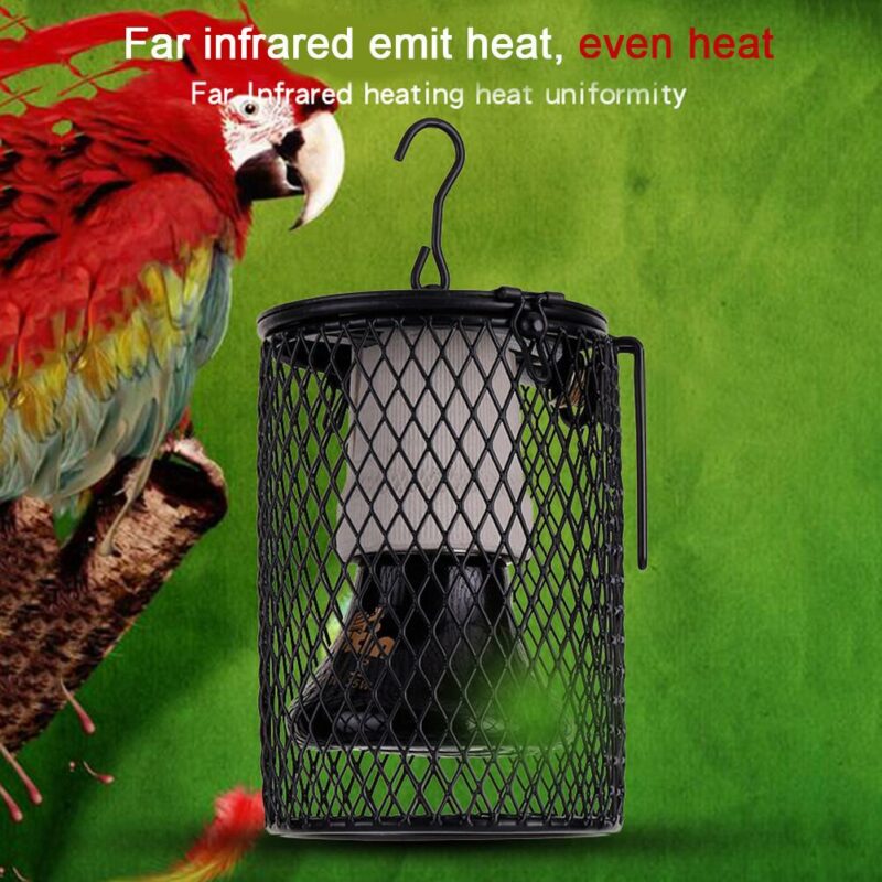 Ceramic Pet Heating Lamp Set With Safety Cage For Reptiles Chickens ...