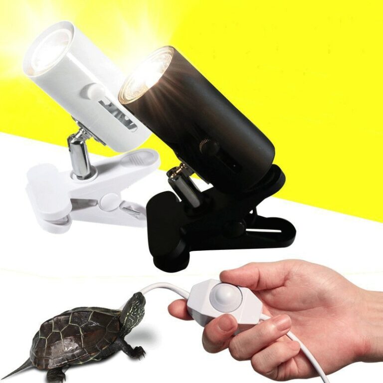 25w Reptile Uv Lamp Set Uva Uvb Light For Turtles With Calcium Supply ...