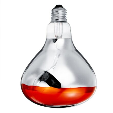 Infrared Led Heat Lamp Bulb For Pets 100250w E27 220v - Free Shipping ...