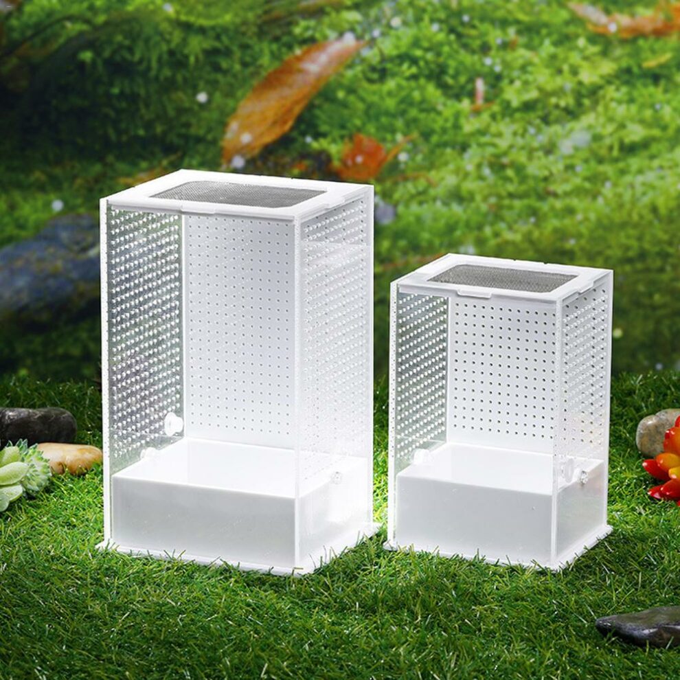 Acrylic Reptile Terrarium Transparent Feeding Insect Breeding Cage ...
